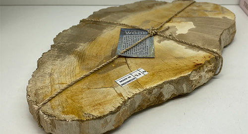 Discover Petrified Wood: Nature's Ancient Grounding Beauty – Evolving ...